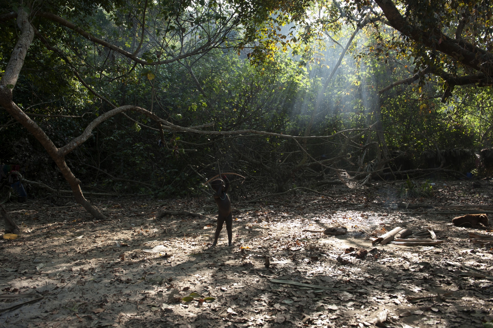 Jarawa, India, Indigenous people, African-Asians, indigenous rights ...