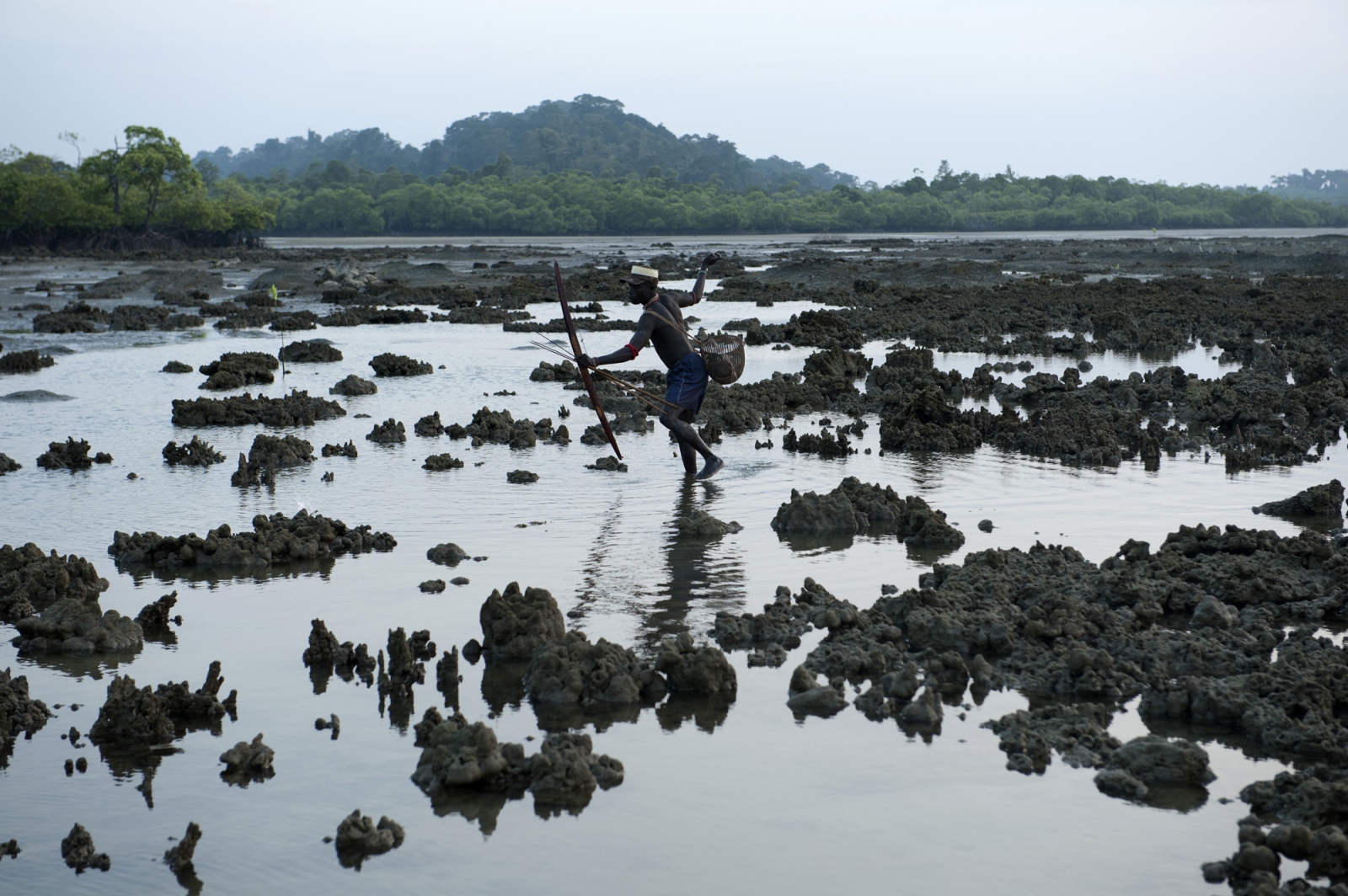 Jarawa, India, Indigenous people, African-Asians, indigenous rights ...