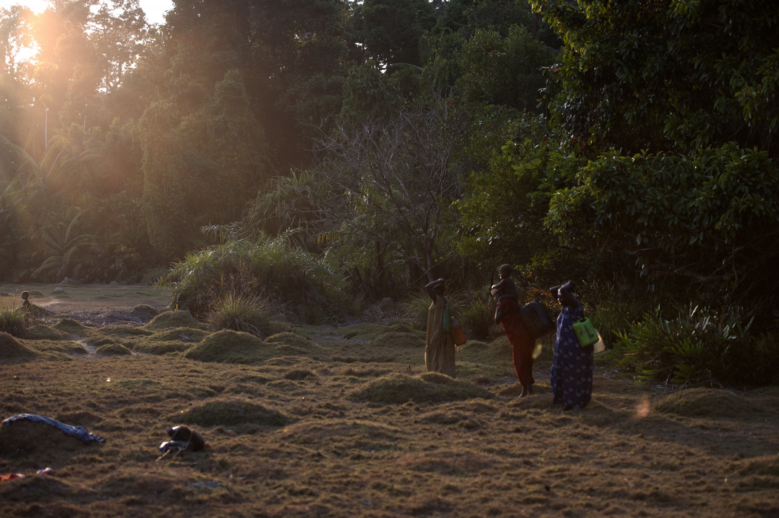 Jarawa, India, Indigenous people, African-Asians, indigenous rights ...