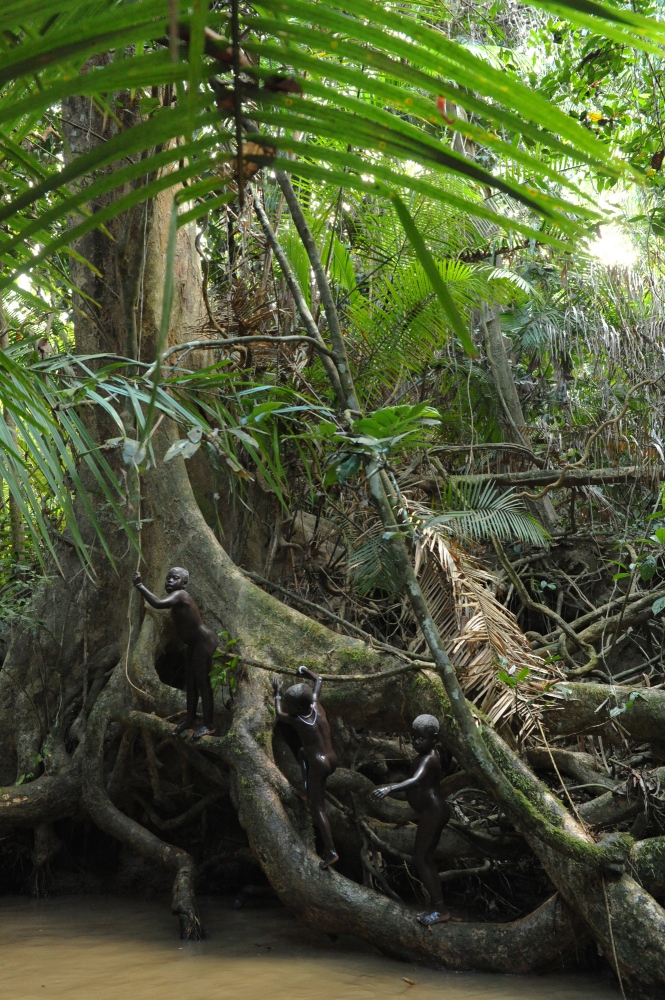 Jarawa, India, Indigenous people, African-Asians, indigenous rights ...