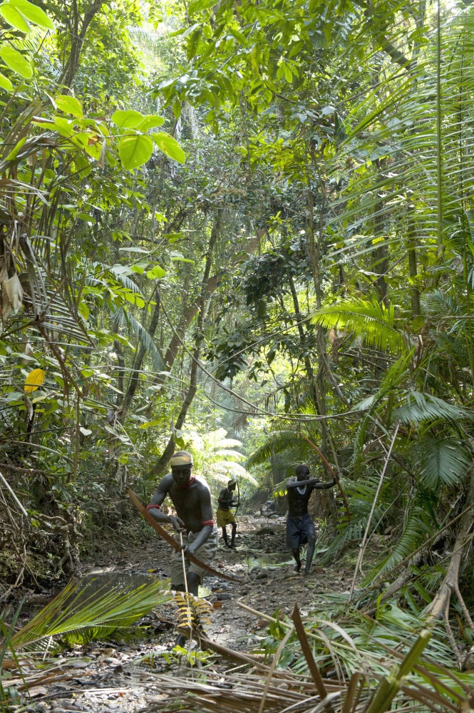 Jarawa, India, Indigenous people, African-Asians, indigenous rights ...