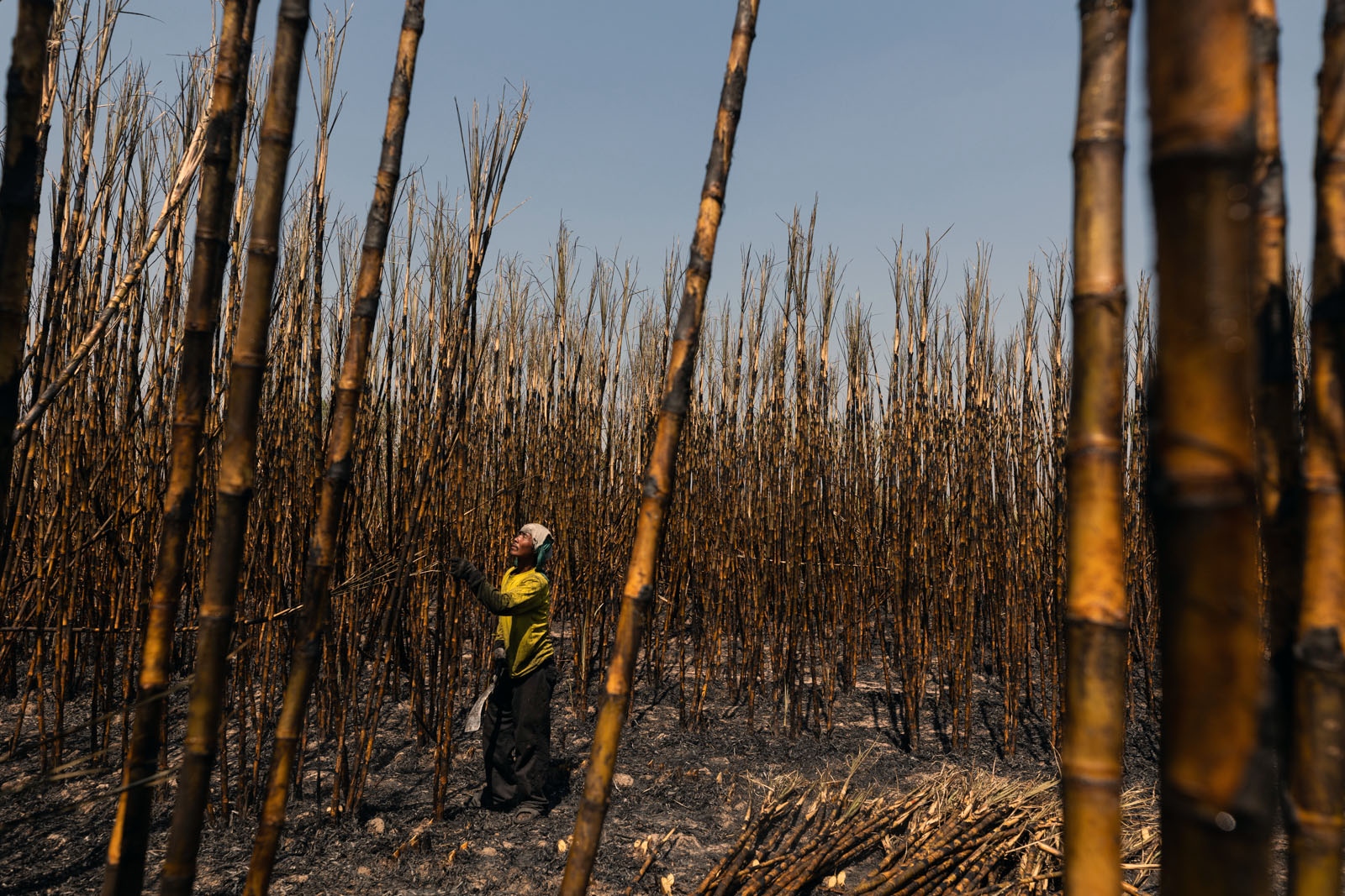 Luke Duggleby - Photographer