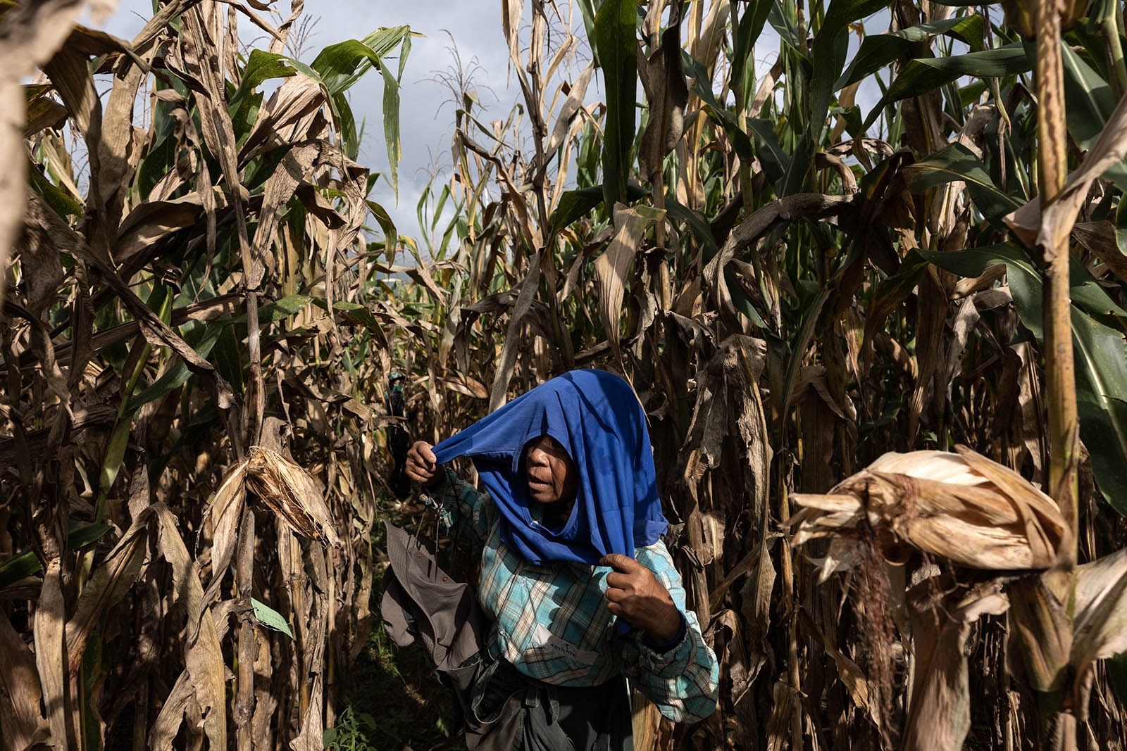 Luke Duggleby - Photographer