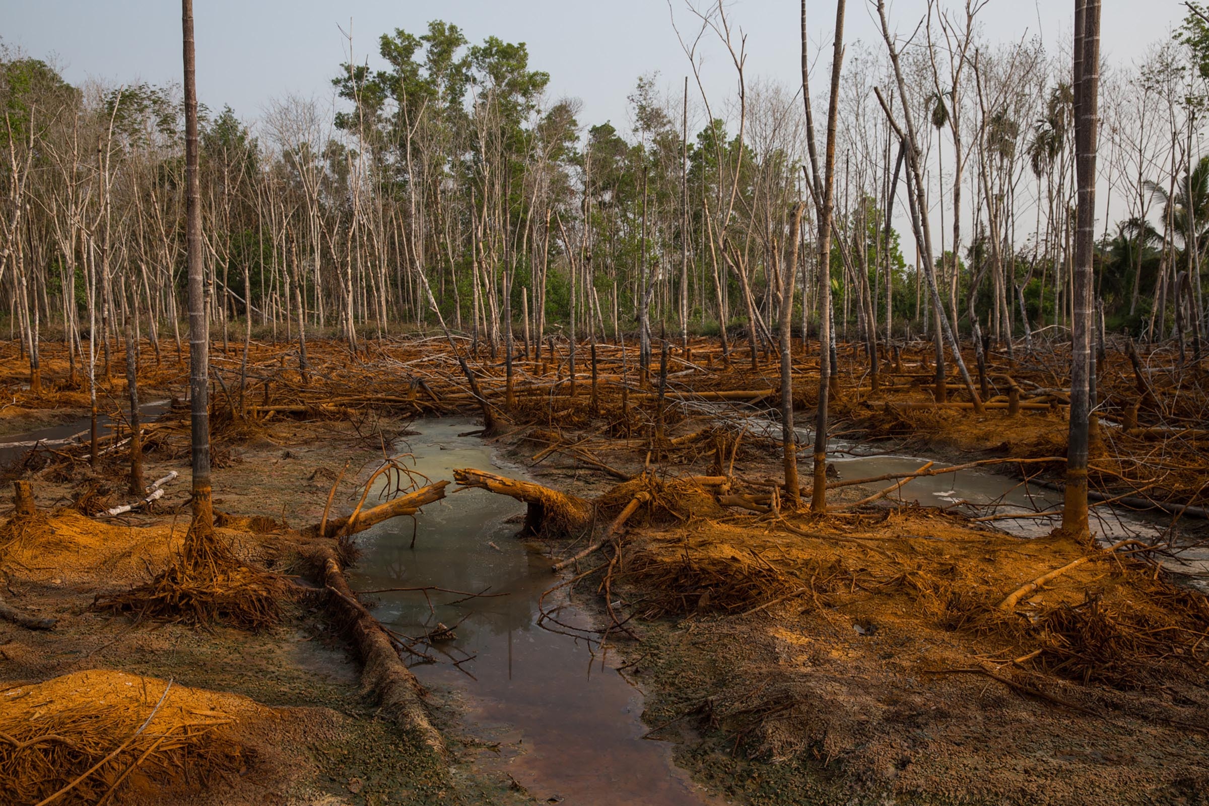 Luke Duggleby - Photographer