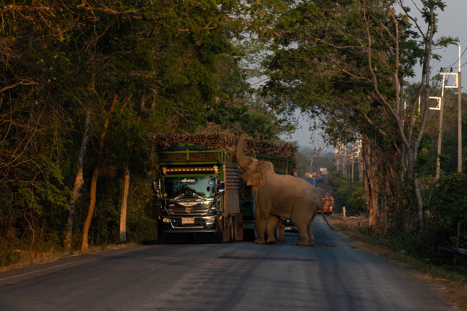 Luke Duggleby - Photographer