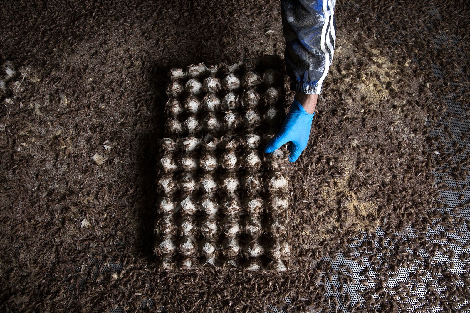 Luke Duggleby - Photographer