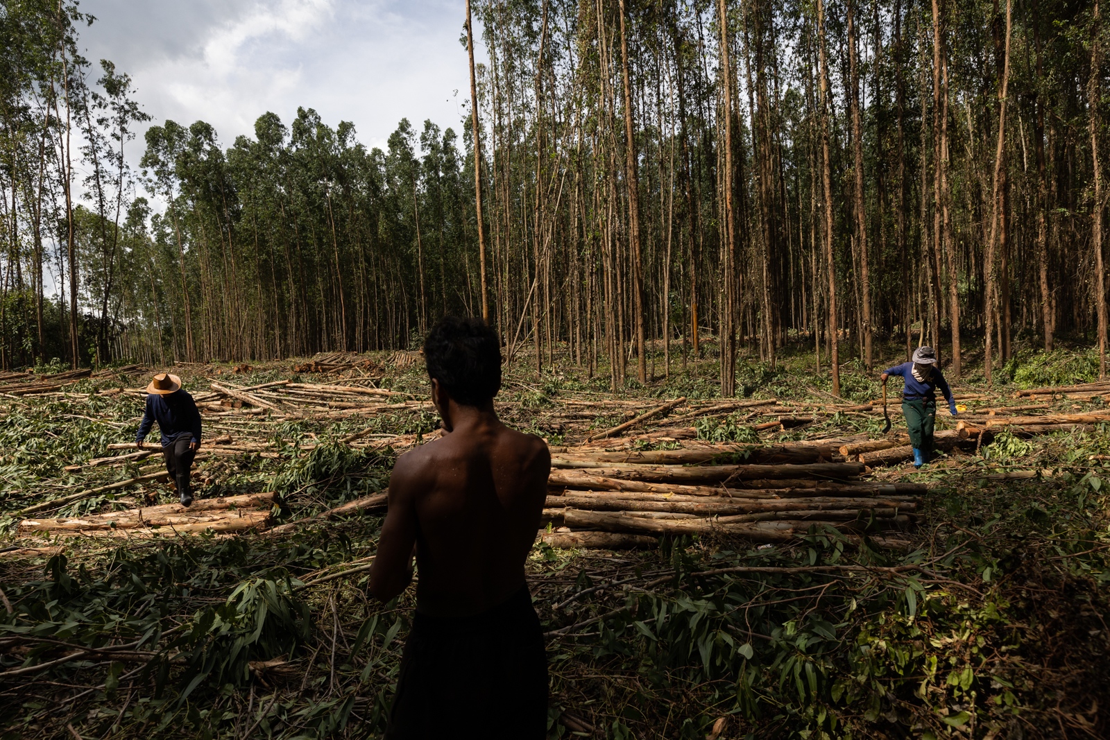 Luke Duggleby - Photographer