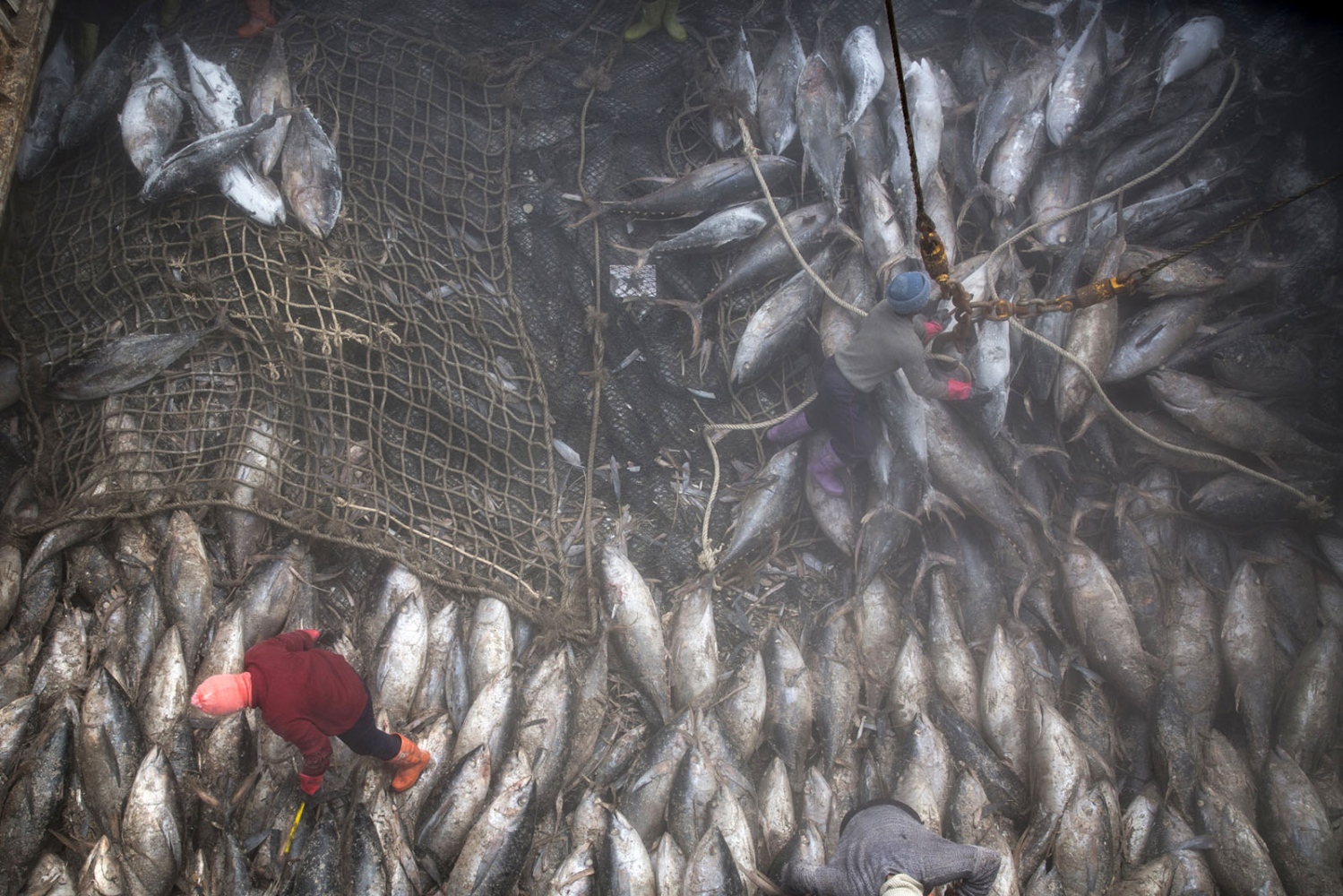 Luke Duggleby - Photographer