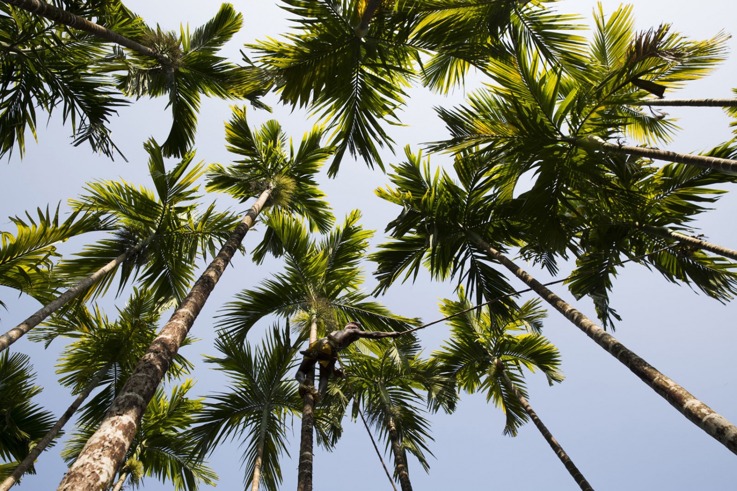 Luke Duggleby - Photographer