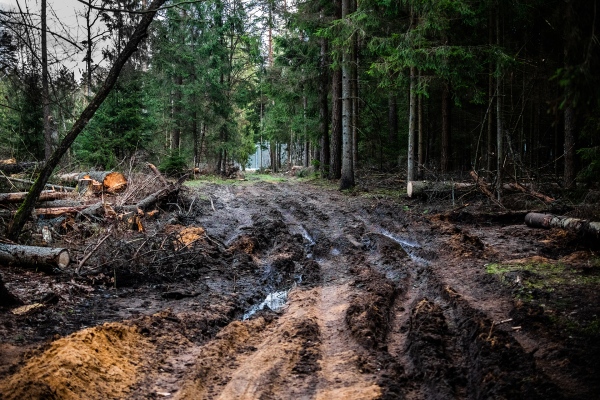 Impact on nature - Hanna Jarzabek - Photography & Documentary Storytelling