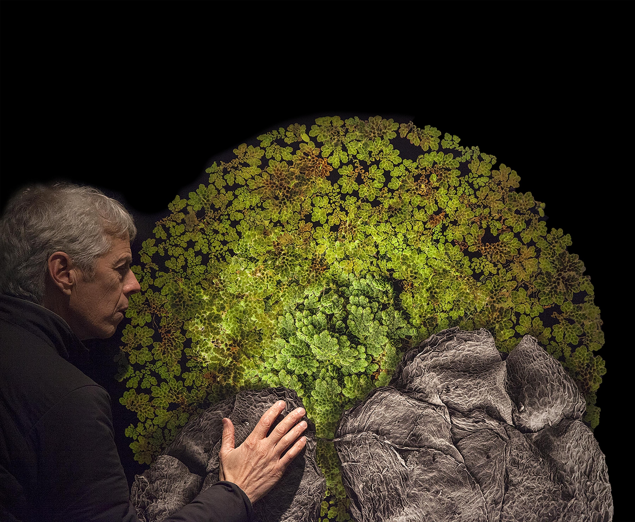 Robert Dash Photography