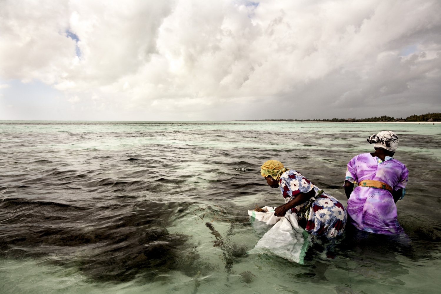 STORIES - David Rengel - Documentary Photographer and Filmmaker