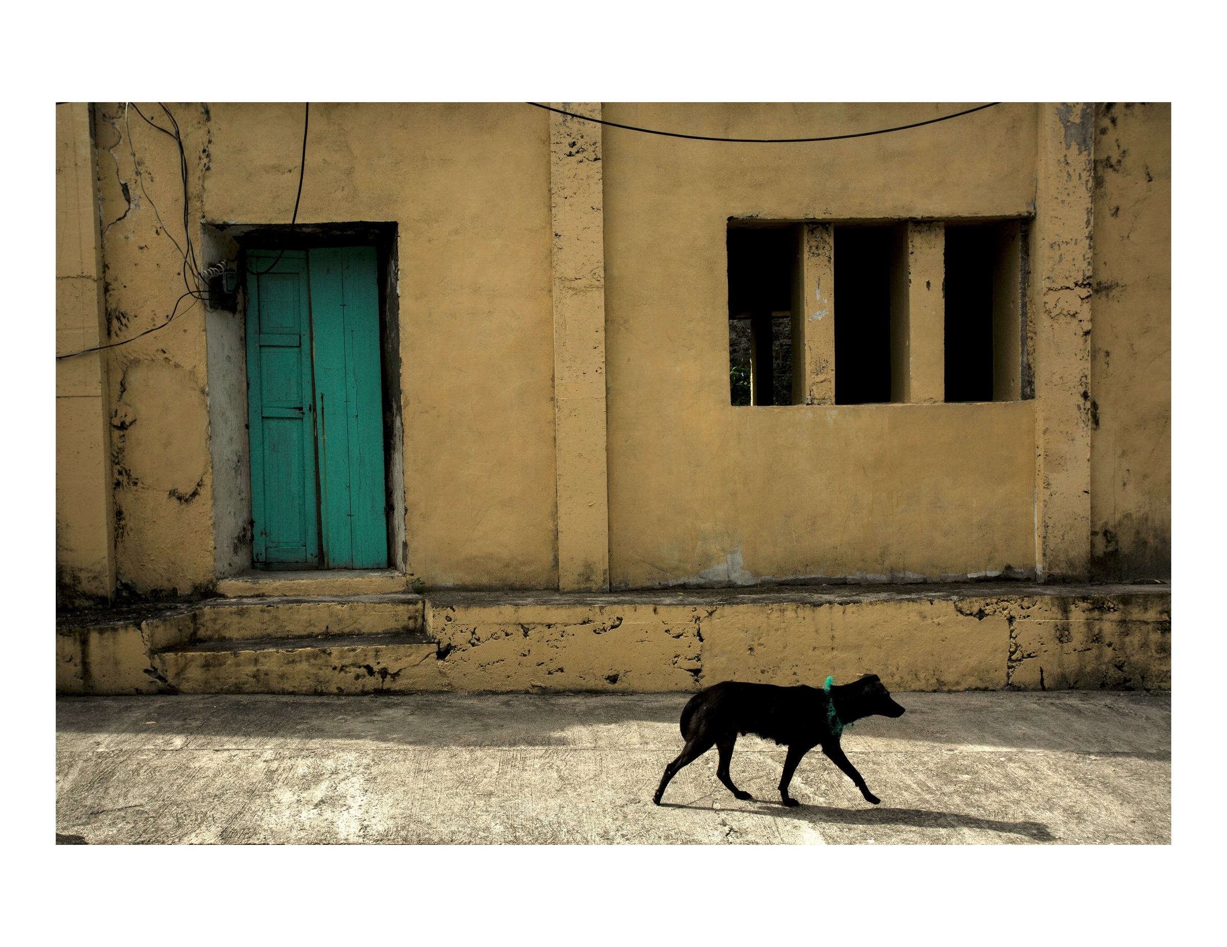 Store - Argo Collective