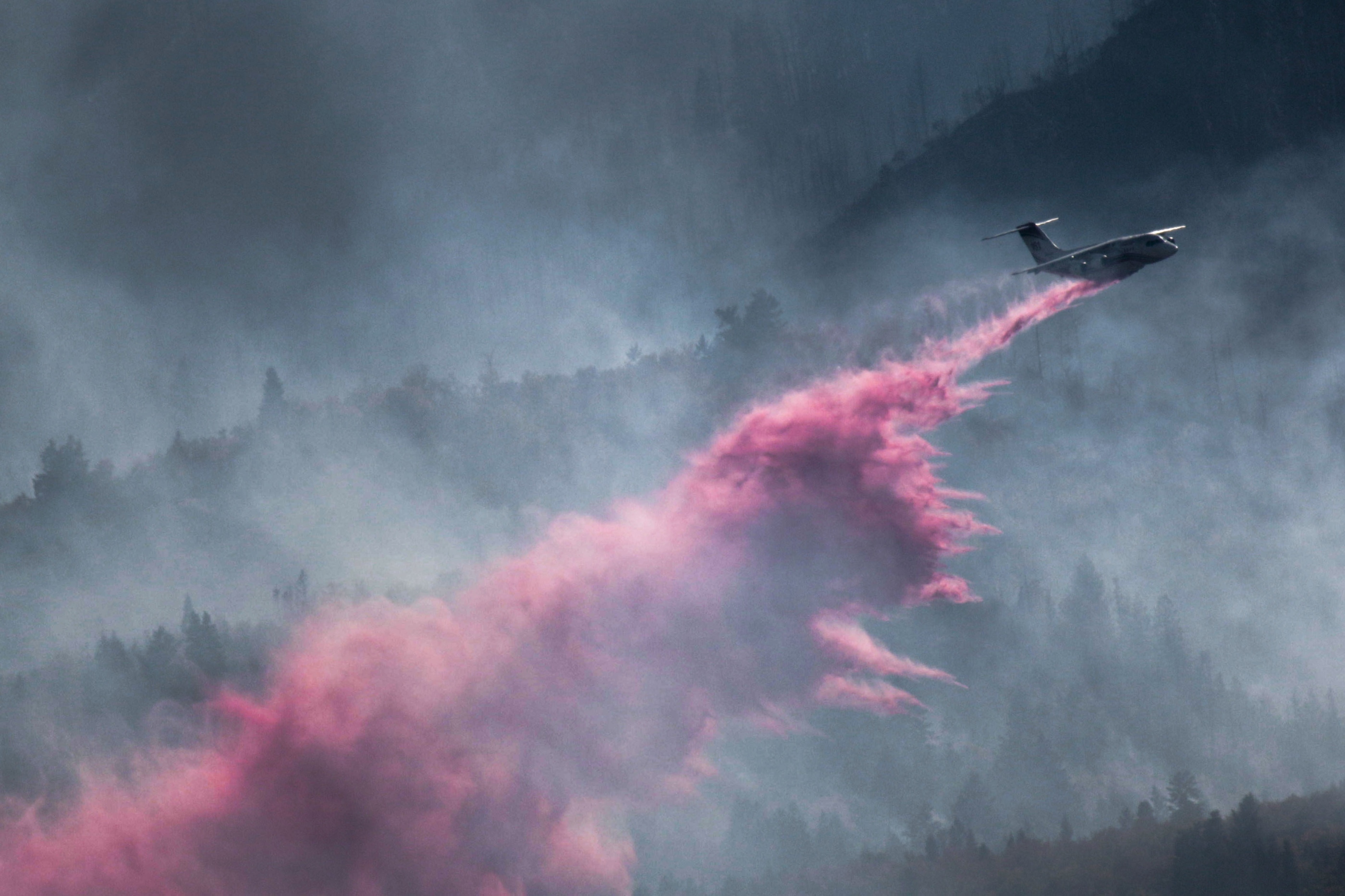 Evan Cobb - Argo Collective