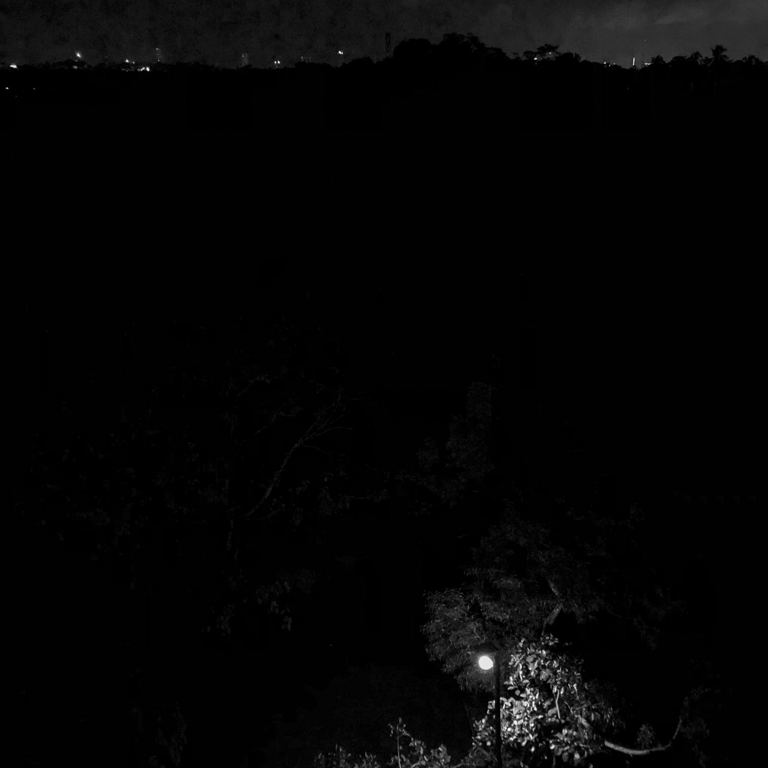 Life in Limbo - Photography | Environmental Advocacy | Visual Storytelling