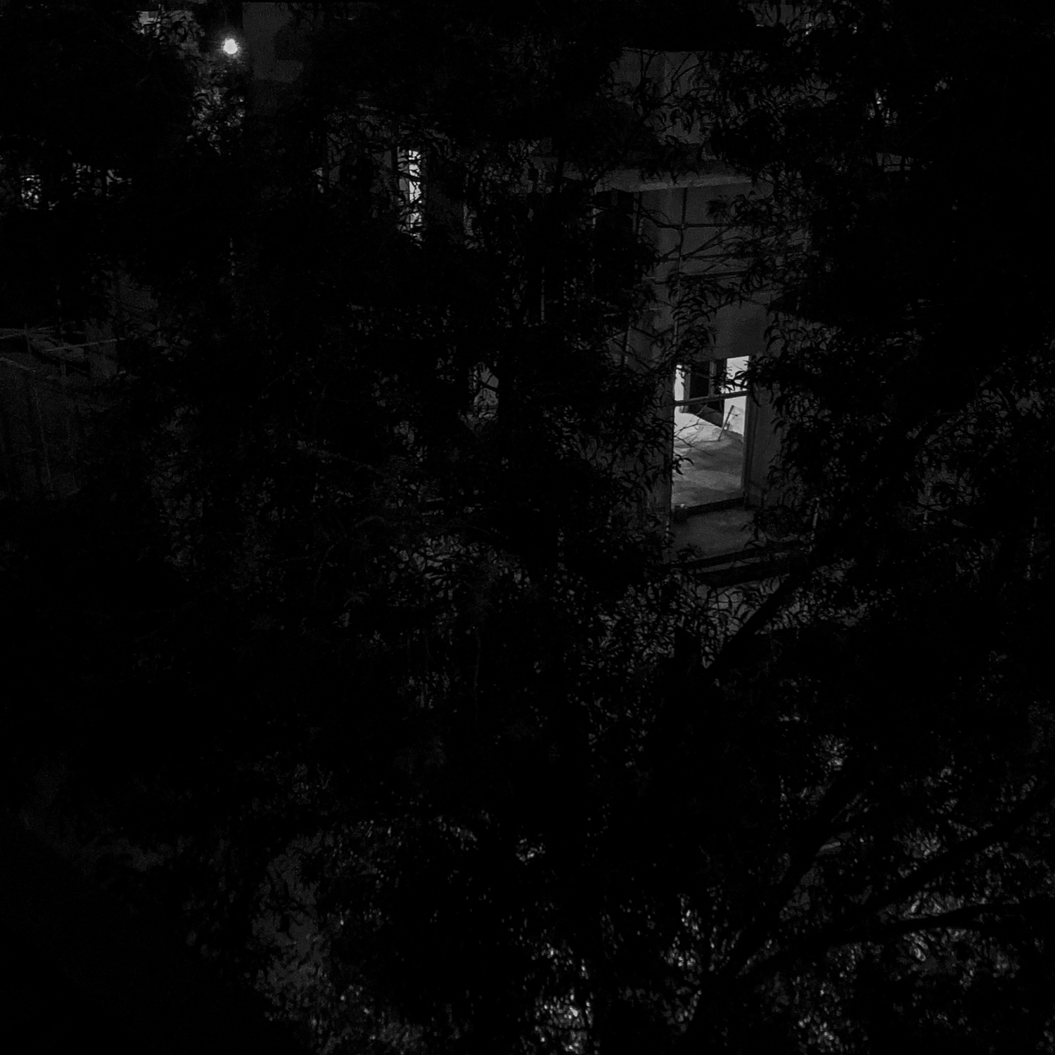 Life in Limbo - Photography | Environmental Advocacy | Visual Storytelling