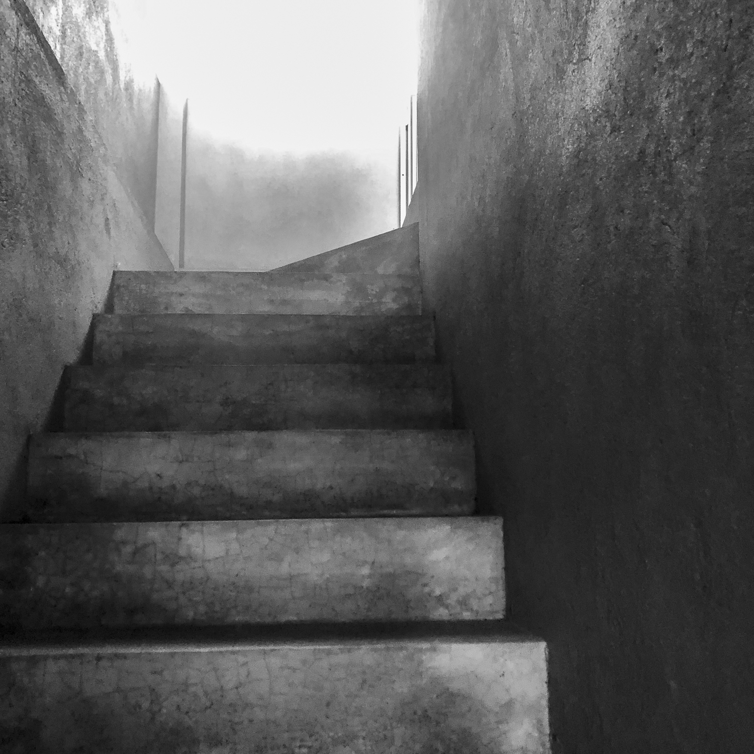 Life in Limbo - Photography | Environmental Advocacy | Visual Storytelling