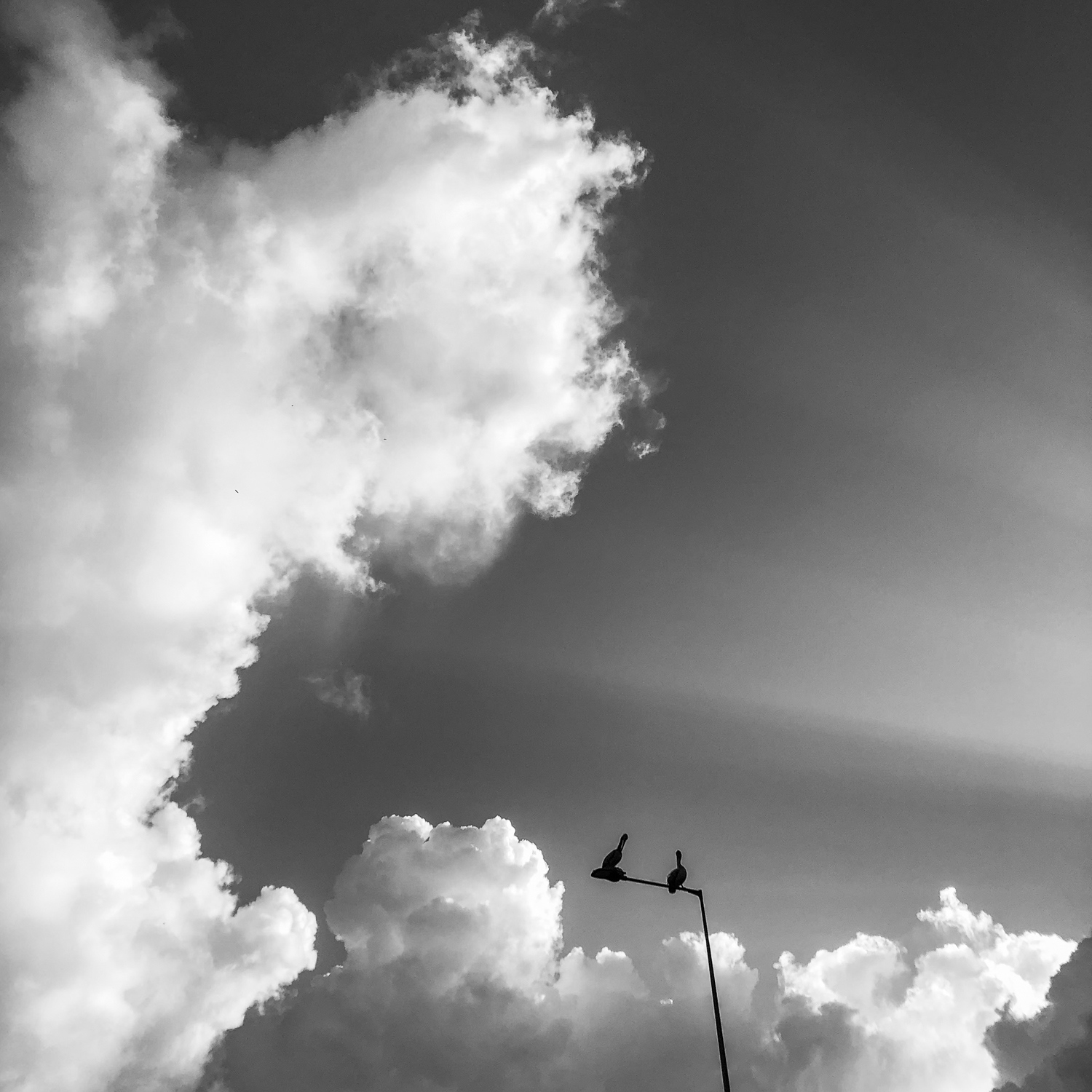 Life in Limbo - Photography | Environmental Advocacy | Visual Storytelling