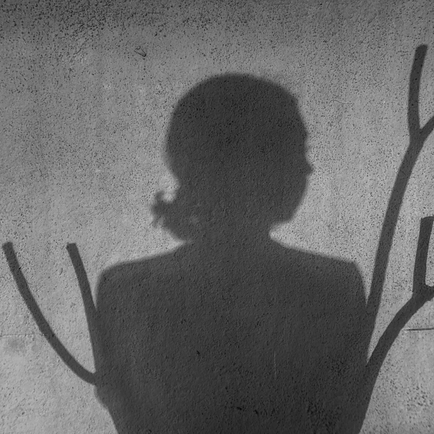 Life in Limbo - Photography | Environmental Advocacy | Visual Storytelling