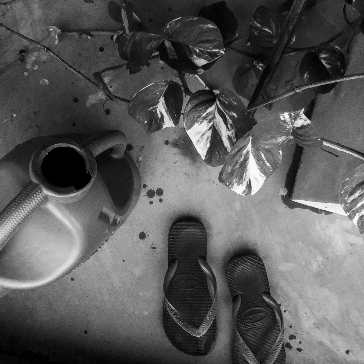 Life in Limbo - Photography | Environmental Advocacy | Visual Storytelling